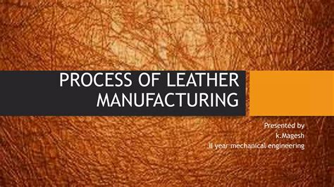 Process Of Leather Manufacturing Pptx