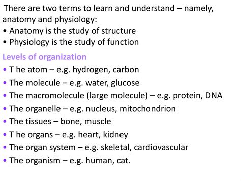 Basic Scientific Principles Of Physiology Pptx