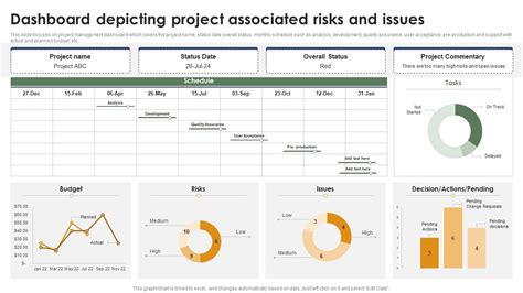 Dashboard Depicting Project Associated Risks And Issues Mastering Project Management PM SS PPT