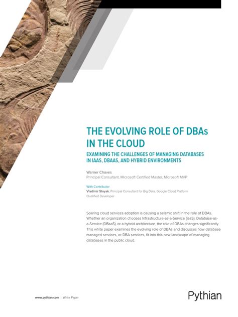 Evolving Role Of Dbas In The Cloud Whitepaper Pdf Cloud Computing Big Data