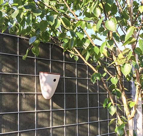 Bird Nesting Boxes Scan Plast