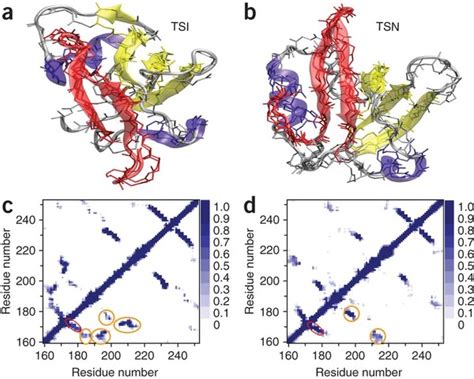 Could Any One Help Me In Generating A Residue Residue Contact Map