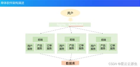 单体架构到云原生架构的演进历程云原生单体化 Csdn博客