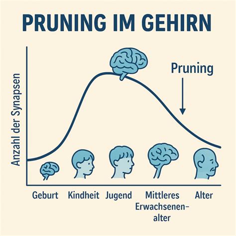 Autism And The “pruning” Problem Of The Brain Drmed Helmut Retzek