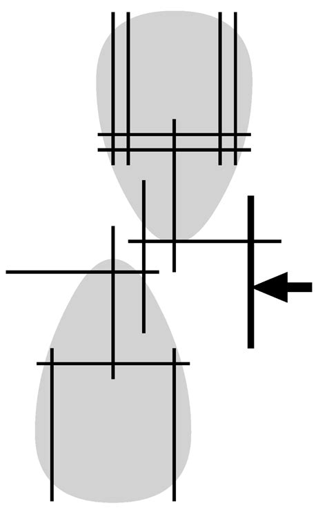 Algorithms Special Issue Graph Algorithms