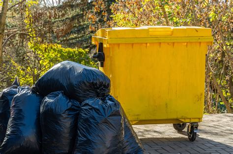 주거용 야외 환경에서 노란색 쓰레기통 옆에 여러 개의 검은색 쓰레기 봉투가 쌓여 있습니다 주변의 녹지는 환경적 맥락을 더합니다 0명에 대한 스톡 사진 및 기타 이미지