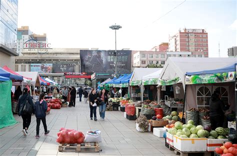 “Алтан намар 2023” өргөтгөсөн худалдаагаар 2000 тонн хүнсний ногоо борлуулаад байна