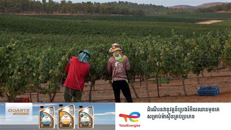 រដ្ឋាភិបាលថ្មីរបស់ថៃគ្រោងចែកប័ណ្ណមានតម្លៃជិត ៣០០ដុល្លារទៅកាន់ពលរដ្ឋគោលដៅមួយចំនួន