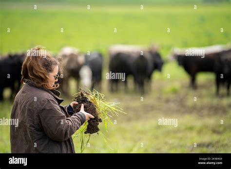 Female Farmer Testing Soil On A Farm Stock Photo Alamy