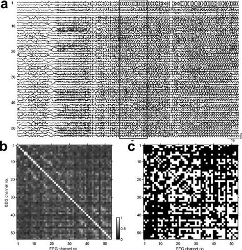 Deriving The Adjacency Matrix A Representative Eeg Recording With 53