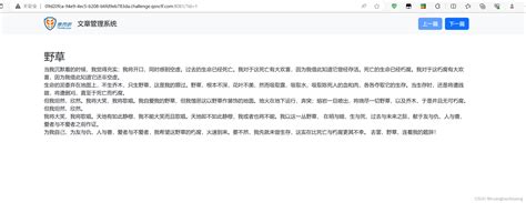 青少年ctf 文章管理系统 Csdn博客