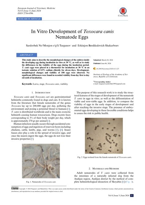 Pdf In Vitro Development Of Toxocara Canis Nematode Eggs