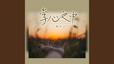 掌心之中 Dj沈念舞动版 Youtube