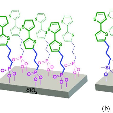 A Schematic View Of The Organic Field Effect Transistors Ofet Using Download Scientific