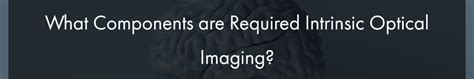 What Components Are Required For Intrinsic Optical Imaging Mightex