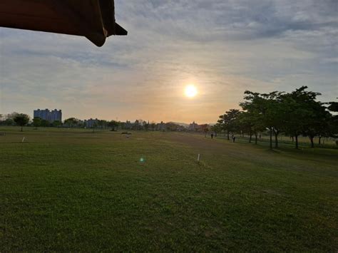 부여파크골프장백마강 생활체육공원 파크골프장 네이버 블로그