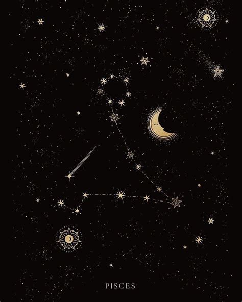 صورت فلکی چیست ؟ تعریف و آشنایی با انواع صورت های فلکی ایران کمپینگ