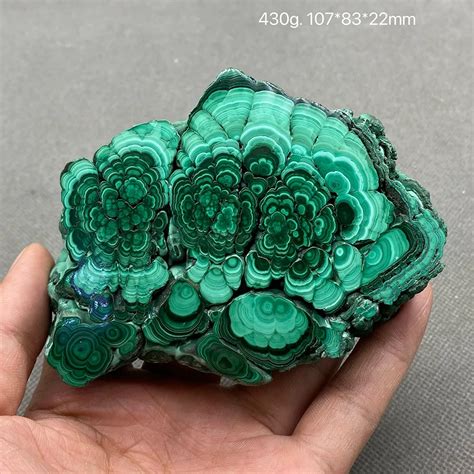 S48be5105ef5441ff94ec71acebf4b186s