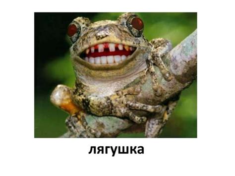 Презентация по книге "Тайм-драйв" Глеба Архангельсского