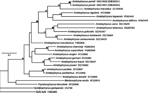 Systematic Placement Bayesian Phylogenetic Inference Based On A