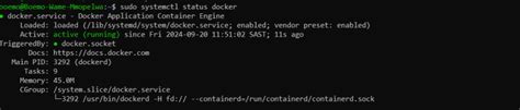 How To Start A Docker Daemon Complete Guide With Troubleshooting Tips Cherry Servers