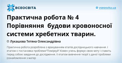 Практична робота № 4 Порівняння будови кровоносної системи хребетних тварин Конспект Біологія