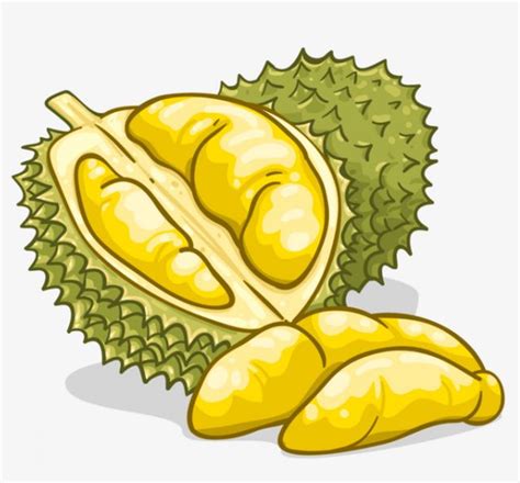 患者提问：来月经可以吃榴莲吗 知乎