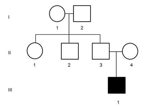 Lecture Exam 2 Flashcards Quizlet