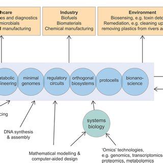 PDF Principles Of Synthetic Biology