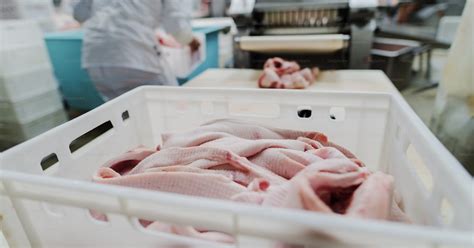 대회 산업의 근로자는 육류 공장에서 육류 조직 포장 배송 적재를 처리합니다 사진 Unsplash의 고기 이미지