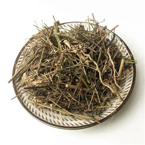 Buy Best Herb Bing Tang Cao 冰糖草 Herb Scoparia Dulcis Tu Gan Cao 土甘草