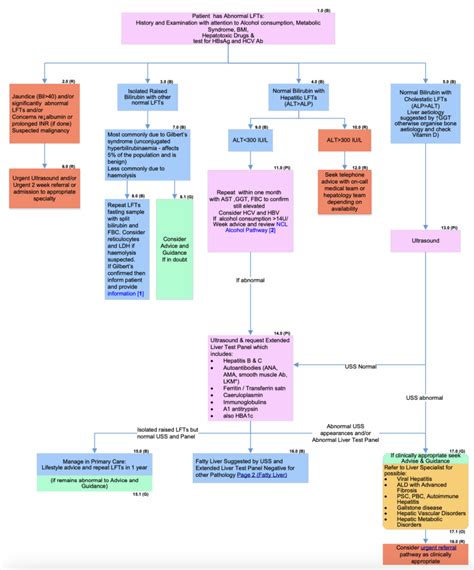 Airgp Interpreting Liver Function Tests Lfts