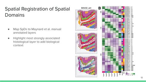 Single Cell And Spatial Transcriptomics In The Postmortem Brain Speaker Deck