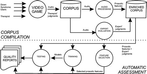 Experimental Procedure Scheme Download Scientific Diagram