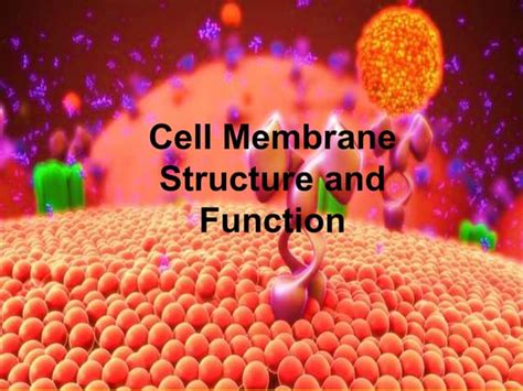Cell Membrane Structure Function Week 5 Ppt