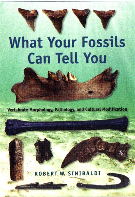 Fossils Tell Stories Book At Savannah Eades Blog
