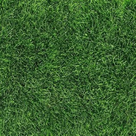 Green Pvc Artificial Grass Floor Mat Shape Rectangle Size 900 Mm X 550 Mm At Rs 60square
