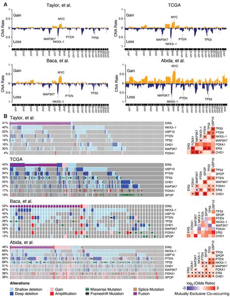 Copy Number And Mutational Landscapes Across Datasets A Multiple