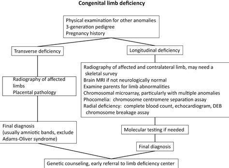 Congenital Limb Deficiency Disorders Clinics In Perinatology