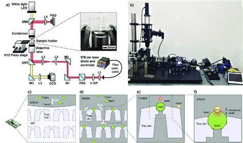 A Microfluidic Assisted Optical Trapping Configuration L Lens Wp Download Scientific