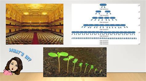 Problem Solving Sequence For Lessonpptx