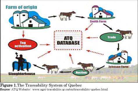 Figure 1 From Implementation Of A Traceability System From Constraints To Opportunities For The