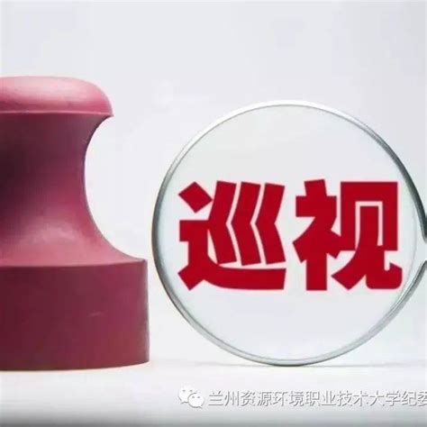 十九届中央第六轮巡视整改进展情况综述单位