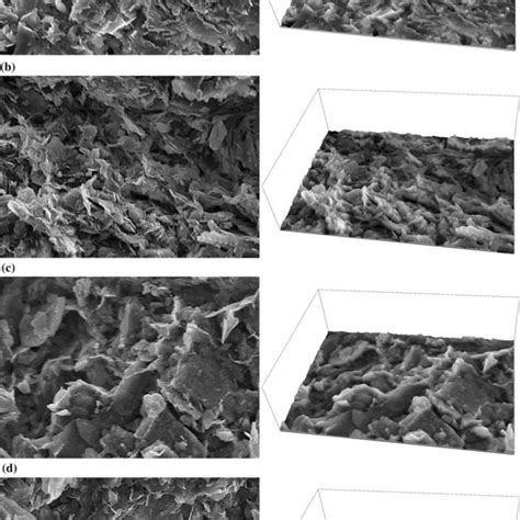 Distribution Of The Fractal Dimension From SEM Images A With The Axial Download Scientific