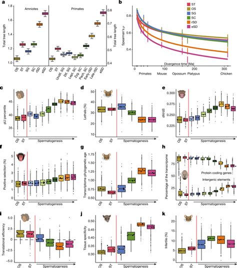 Gene Expression Divergence And Evolutionary Forces A Total Branch