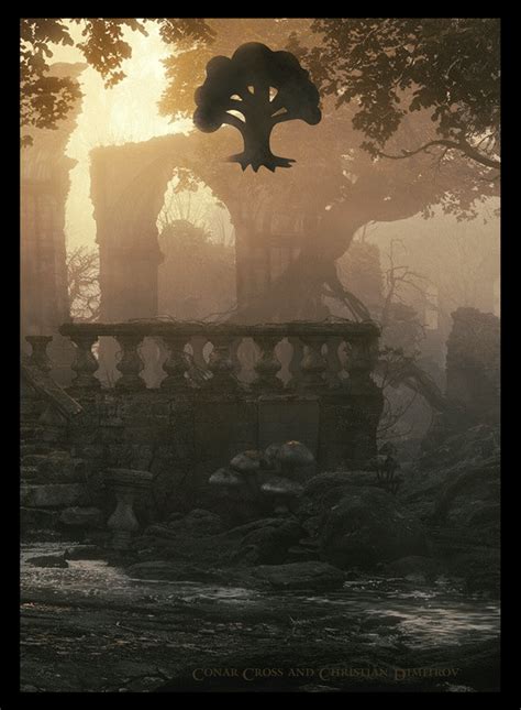 A Cycle Of Elden Ring Themed Basics Rcoolproxies A Cycle Of Elden Ring Themed Basics Rcoolproxies