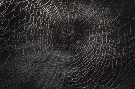 Intricate Spider Webs Overlapping Dark Textured Background Concentric Circles And Depth Stock