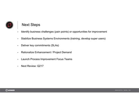 Sap Erp Governance Ppt