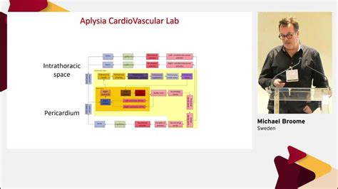 Esc 365 Introduction To Hemodynamic Simulation
