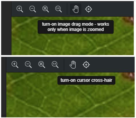 image annotation using makesense ai